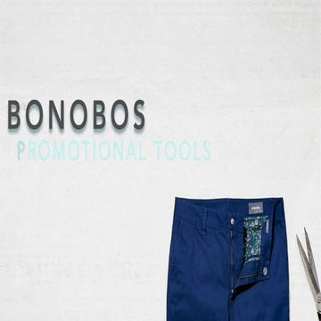 Bonobos | PDF