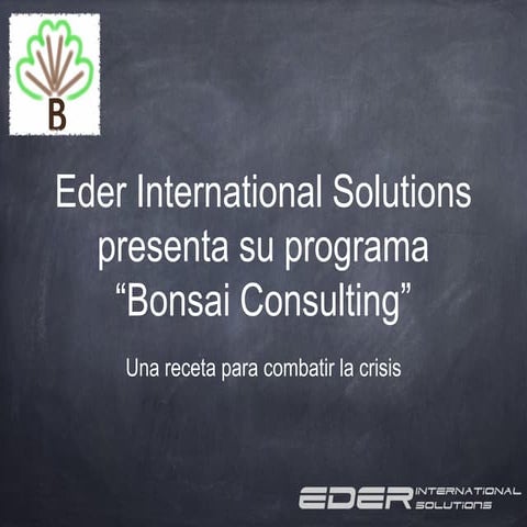 Bonsai consulting esp | PDF