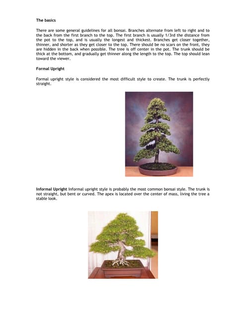 Introduction to bonsai tree | DOCX