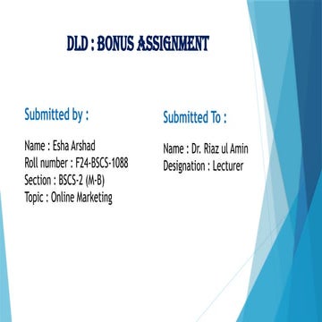 (Online Marketing) Assignment...by Esha Arshad.pptx