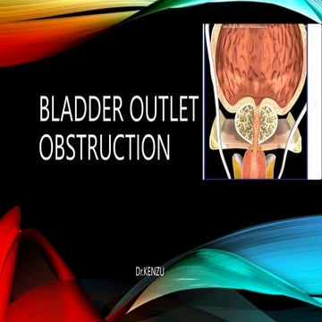 Benign Prostatic Hyperplasia-1.pptx