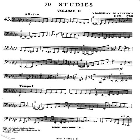 Blazhevich 70Studies Book2 | PDF