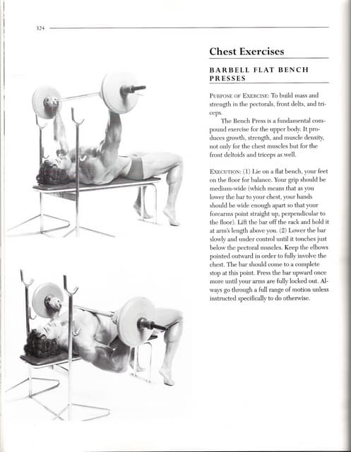 Bicept Workouts For All Levels | PDF | Physical Therapy | Wellness