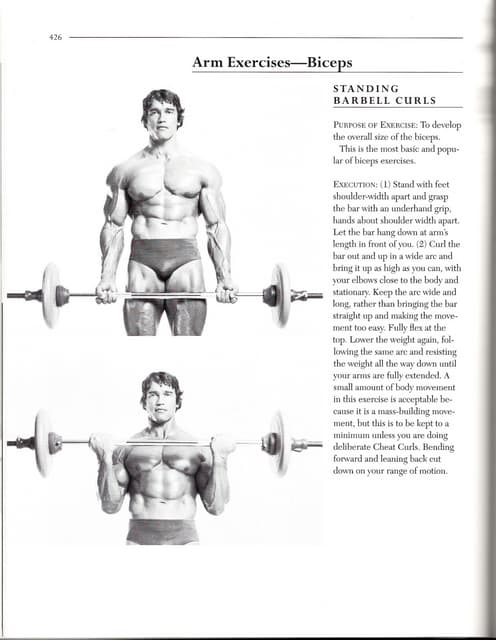 Book 3 6 Back Exercises | PDF