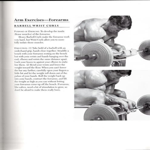 Book 3 8 3 Forearms | PDF