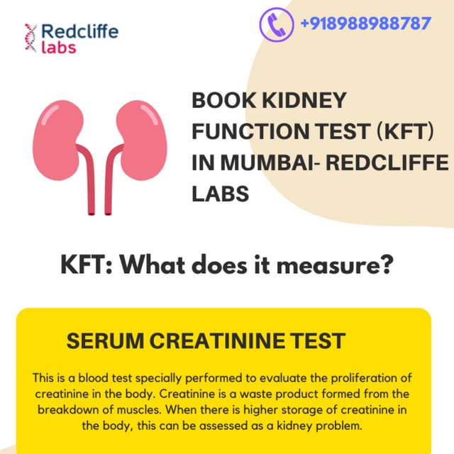 Book Kidney Function Test (KFT) in Mumbai- Redcliffe Labs (2).pdf