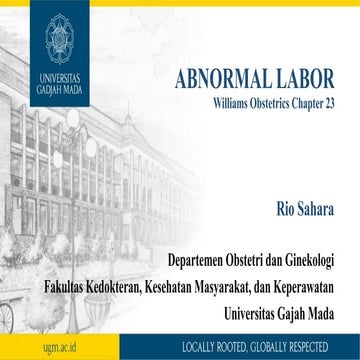 Book Reading Williams Abnormal Labor - RIO.pptx