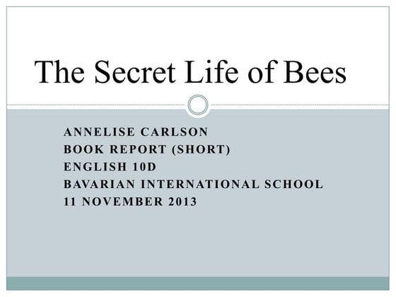 Huck finn essay charlie | PDF