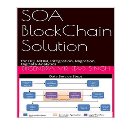 Book For Soa Framework Solution For Data Services Pdf 1003