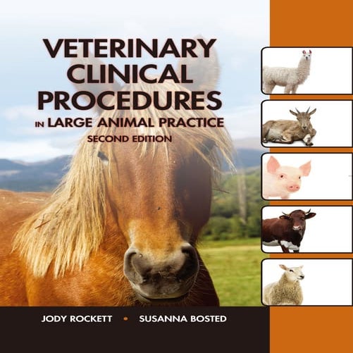 book Vet medicine large animal procedure.pdf