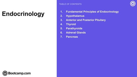 Comp10 unit3d lecture_slides | PPTX