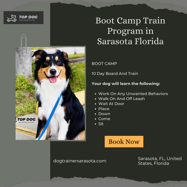 Boot Camp Train Program in Sarasota Florida.pdf