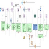 P&C Claim Process Flow (Roles) | PDF