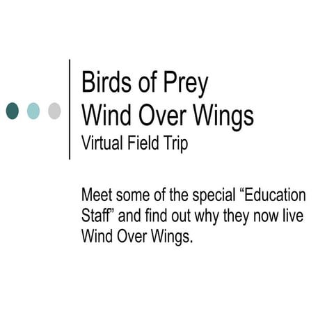 Untitled presentation-2.pptx