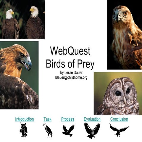 Birds of Prey WebQuest | PPT