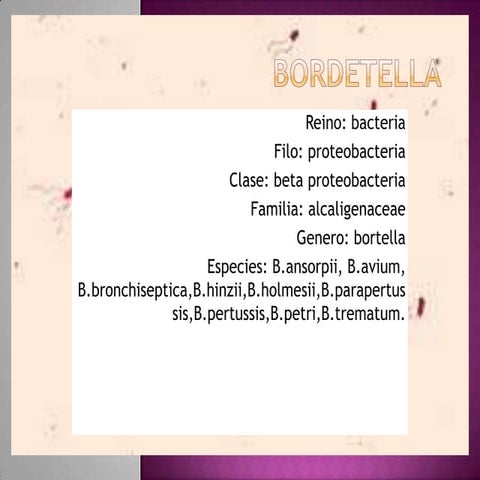 Bordetella | PPTX