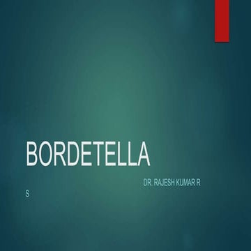 Bordetella | PPTX