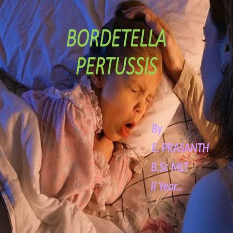 BORDETELLA PERTUSSIS-WPS Office prasanth.pptx