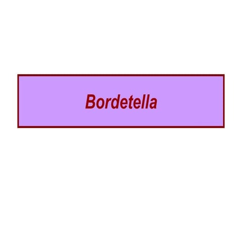 Bordetella pertussis generalidades .pptx