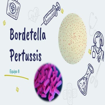Bordetella pertussis Equipo 8 3° semestre preparatoria.pdf