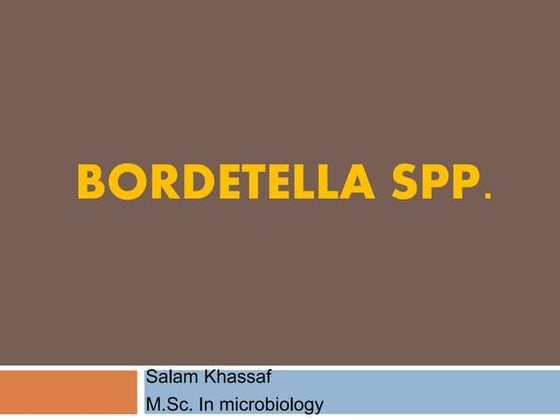 Bordetella | PPT | Lung and Respiratory Health | Diseases and Conditions