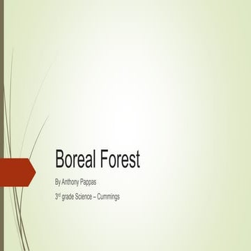 Boreal forest presentation final | PPTX