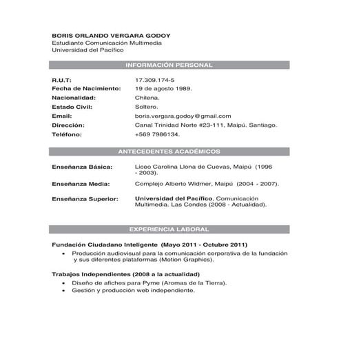 Curriculum Vitae | PDF