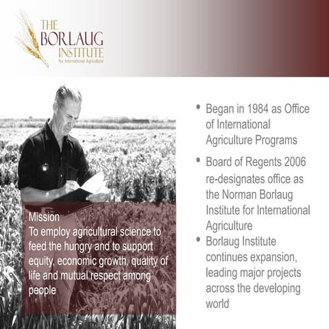 Borlaug Institute Slide Presentation | PPTX