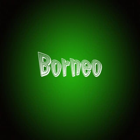 Borneo | PDF