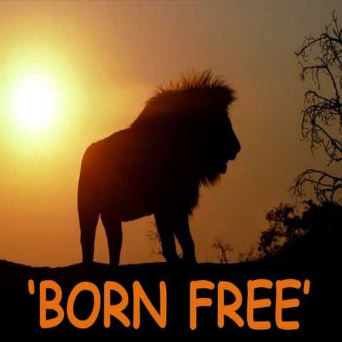 'Born Free' | PPT
