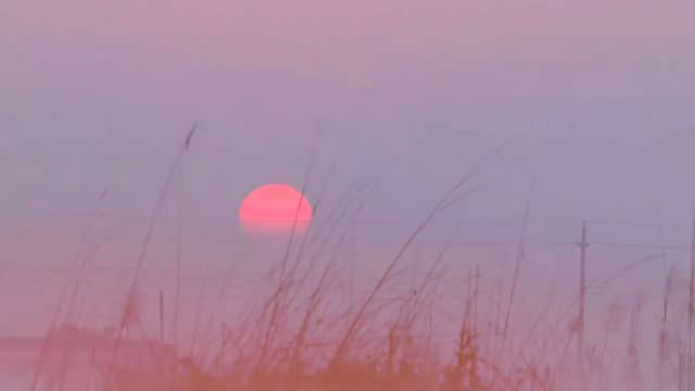 The Basic Configuration of a Microcomputer | PDF