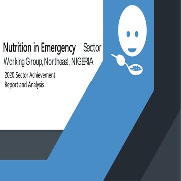 borno_nutrition_sector_im_presentation_january_-_december_2020_final.pptx