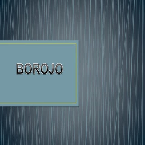 Borojo | PPTX