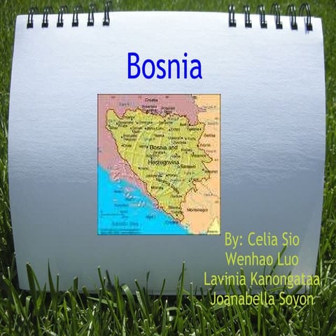 Bosnia | PPT
