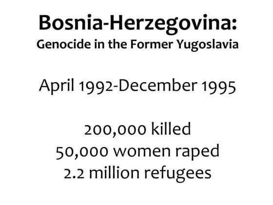 The bosnian war | PPTX