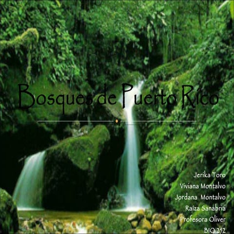 Bosques de puerto rico jerika | PPT