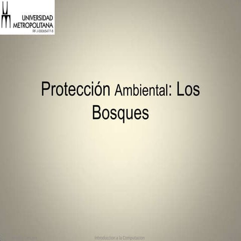 Bosques Venezolanos | PPTX