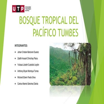 BOSQUE TROPICAL DEL PACÍFICO TUMBES 2.pptx