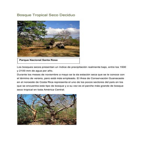 Bosque tropical seco deciduo | DOCX