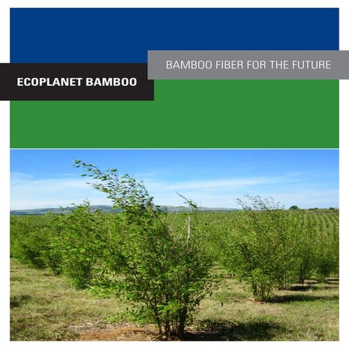 EcoPlanet Bamboo Troy Wiseman Article | PDF
