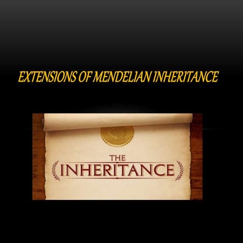 Extensions Of Mendelian Inheritance Ppt