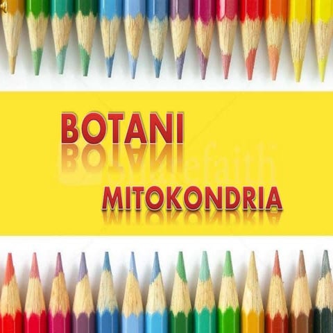 mitokondria | PPTX