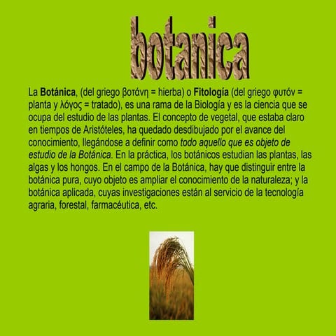 Introducción a la Botanica_02CLASee.pptx