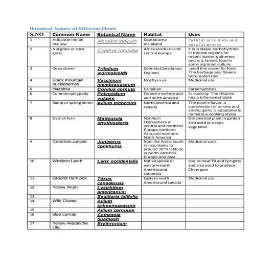 Botanical names of different plants | DOCX