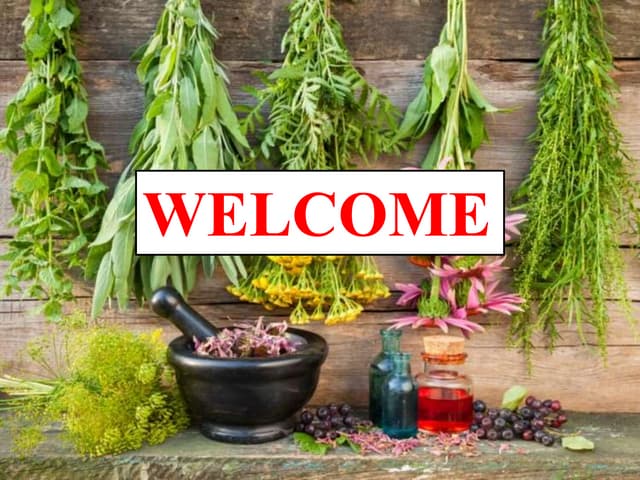 Effect Of Botanicals On Seed Growth Seed Yield And Seed Quality Pptx