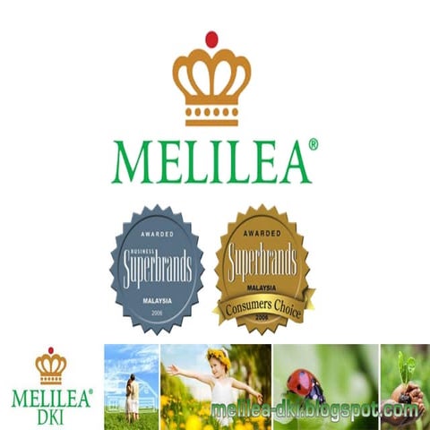 Botanical Skin Care from Melilea | PDF