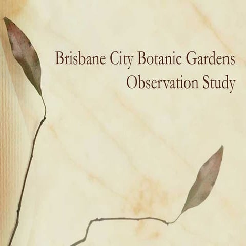 Brisbane City Botanic Gardens Observation Study | PPT