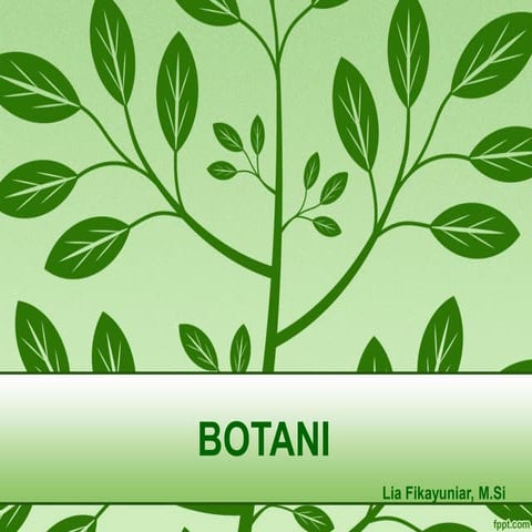 Botani pertemuan ke 3 kirim | PPT