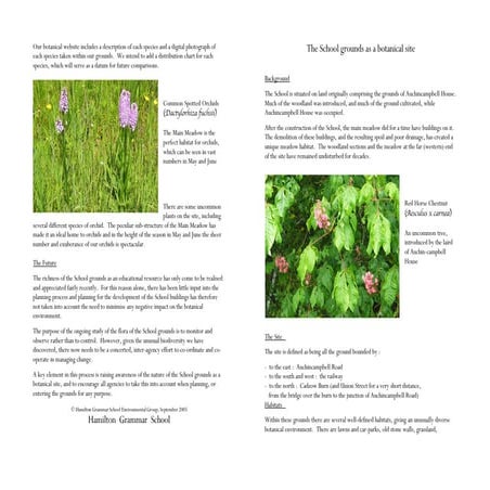 botany brochure | DOC