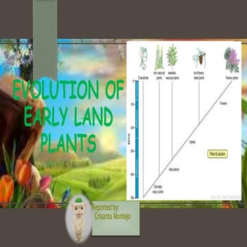 Plant Evolution, Extinction and Hybridization | PPT